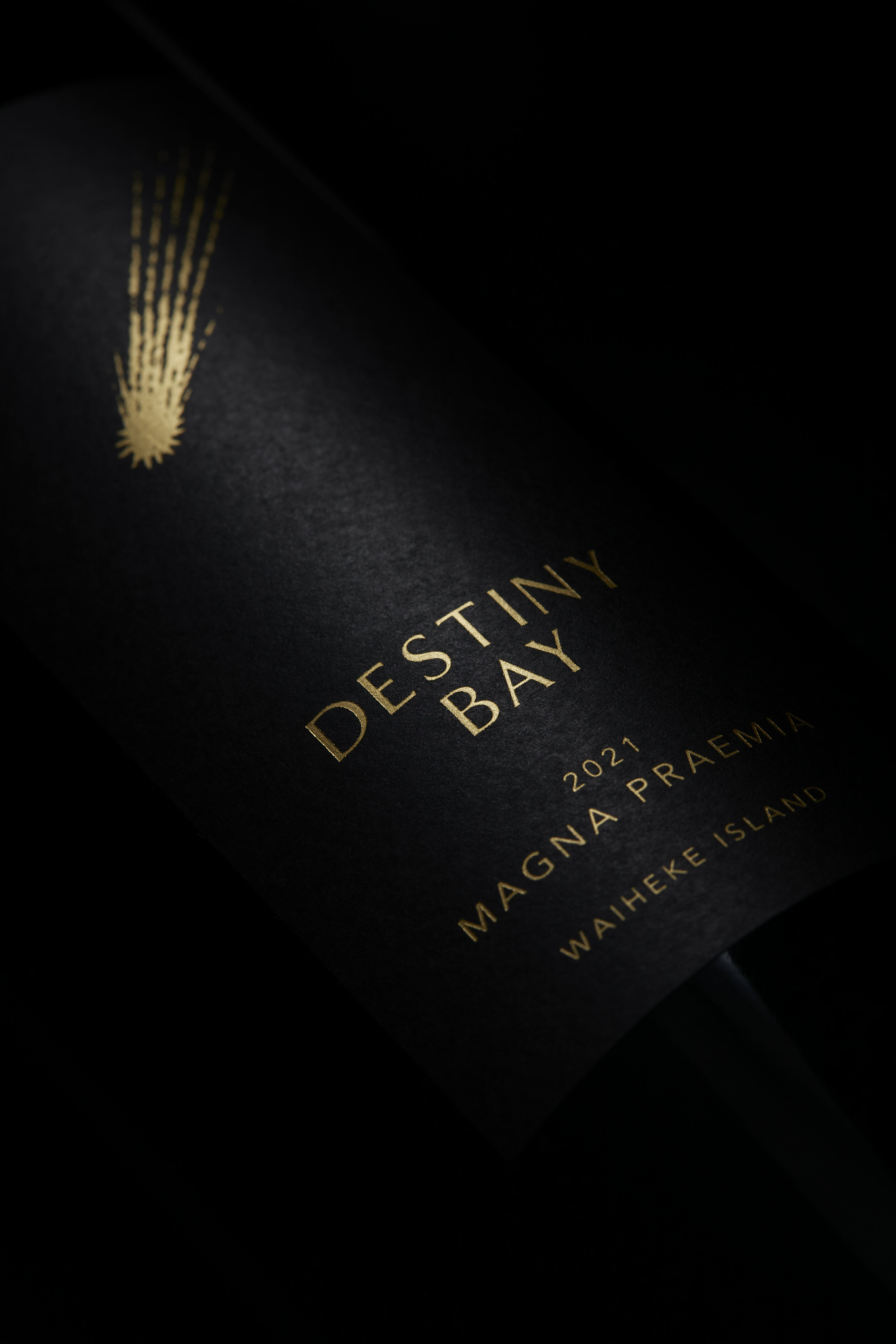 Destiny Bay | Homepage