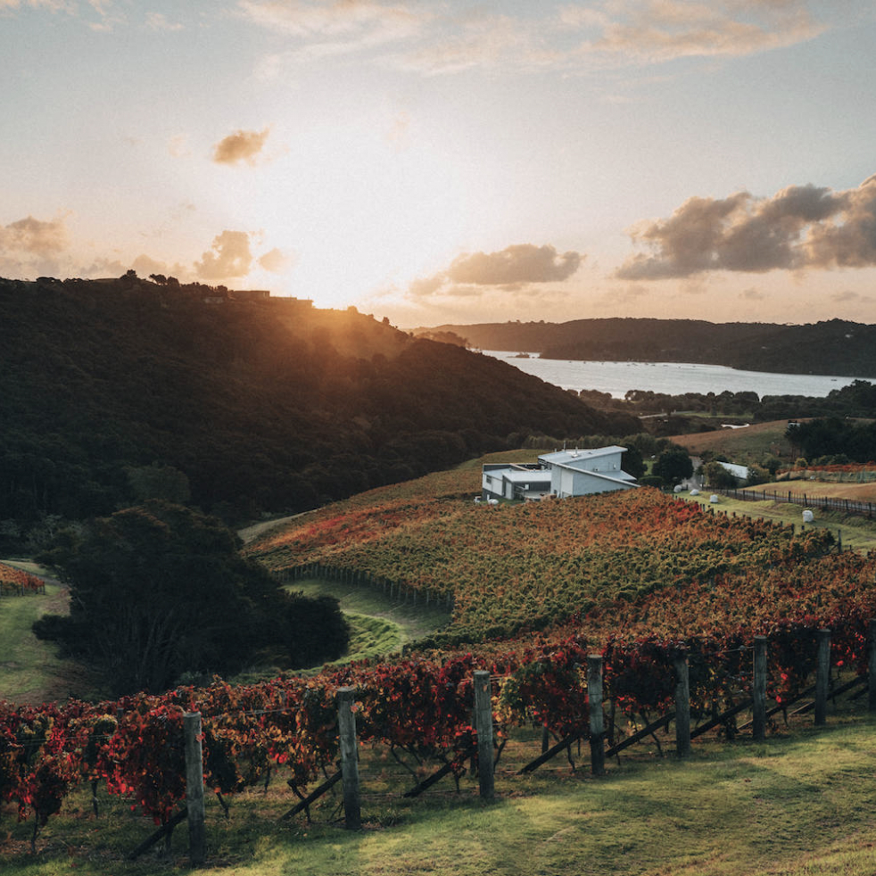 Destiny Bay | Homepage